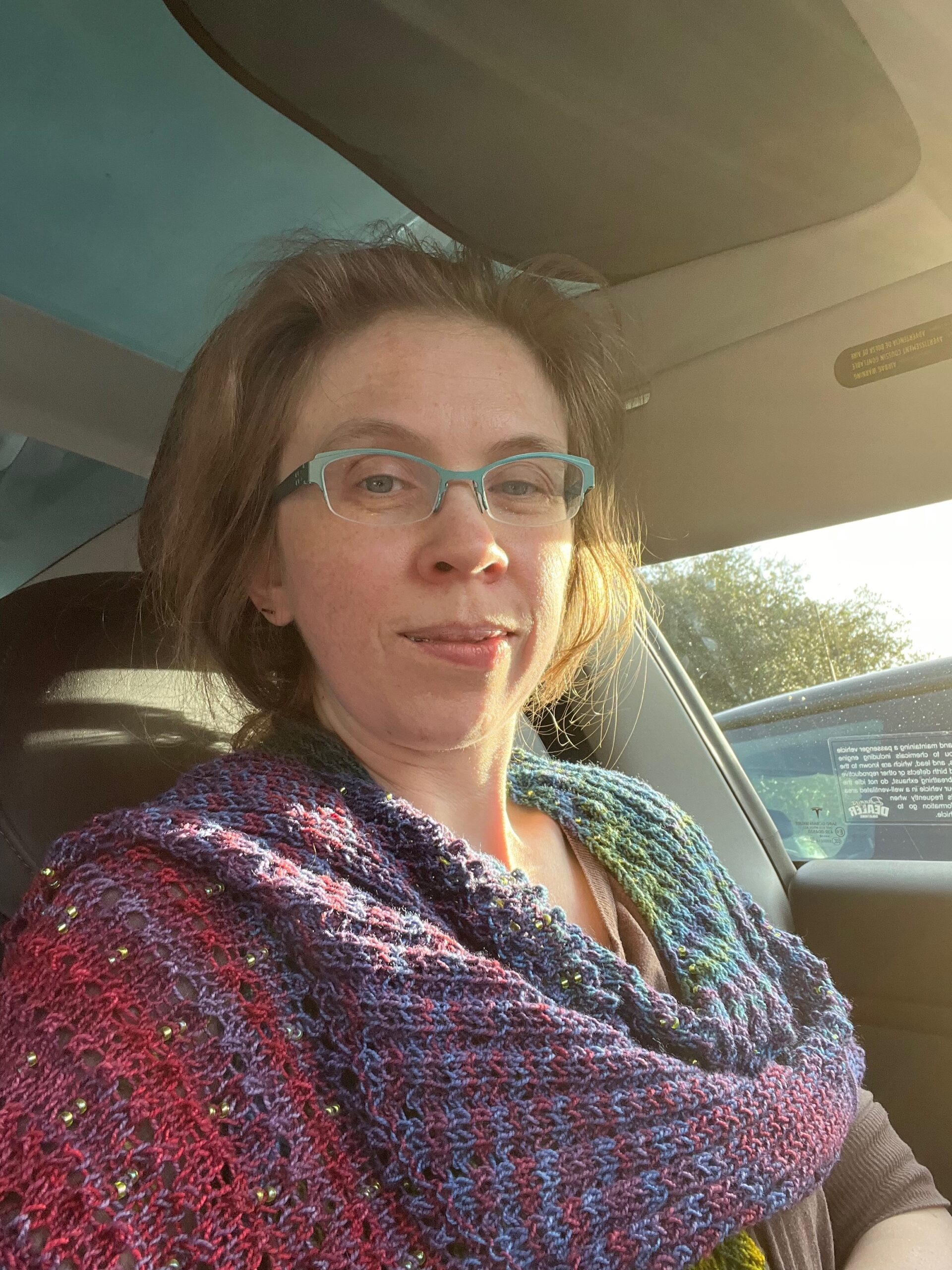 Liza Olmsted - Writer, Publisher, Fiber Artist, Software QA Manager